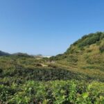 Enchanting Escape: Discovering Ilha do Mel's Hiden Treasure - The Itinerary: What Makes Each Stop Special