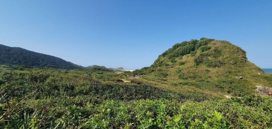 Enchanting Escape: Discovering Ilha do Mel's Hiden Treasure - The Itinerary: What Makes Each Stop Special