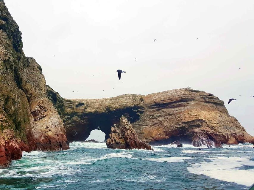 Excursion: Ballestas Islands and Paracas National Reserve - Value and Practical Considerations