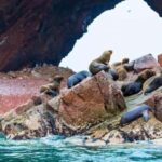 Excursion: Ballestas Islands and Paracas National Reserve - What’s Included and What’s Not