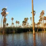 Excursion to Lake Yacumama + Sunset | Piranha fishing - Logistics and What It Means for You