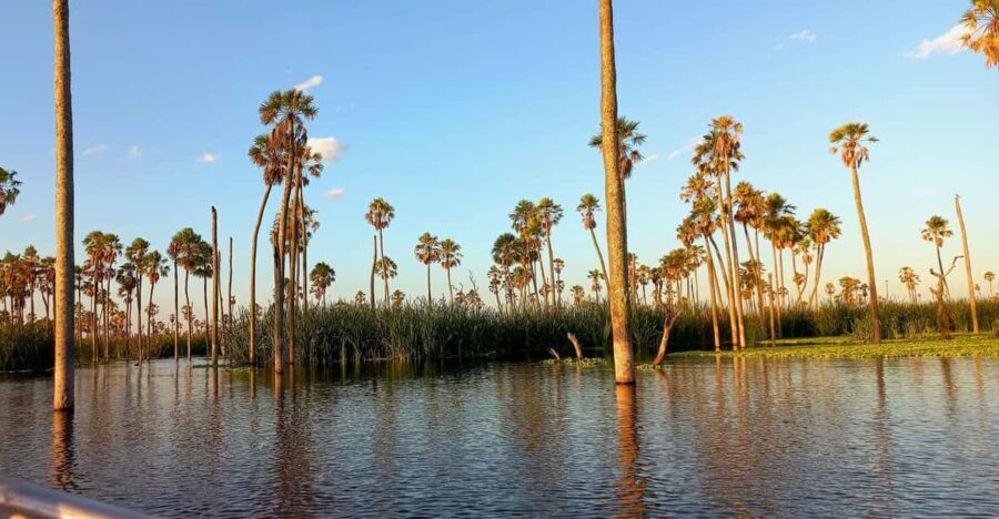 Excursion to Lake Yacumama + Sunset | Piranha fishing - Logistics and What It Means for You