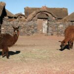 Excursion to the chullpas of Sillustani: Mysterious cemetery - Analyzing the Value