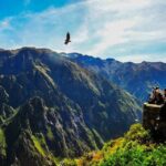 Excursion to the Colca Canyon ending in Puno - What’s Included and What’s Not