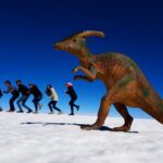 Excursion to the Salar de Uyuni 1 Day + Lunch - What Makes This Tour Stand Out?