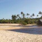 Explore Trancoso: Guided Tour of Local Wonders! - Who Should Consider This Tour?