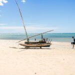 Exploring Cumbuco: 1-Day Adventure - Who Would Enjoy This Tour Most?