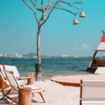 Fenix Beach Island Dinner - Authentic Perspectives and Challenges