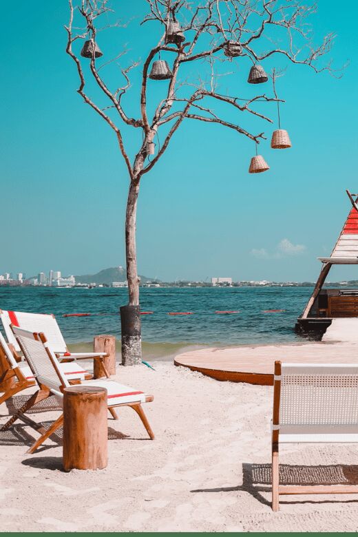 Fenix Beach Island Dinner - Authentic Perspectives and Challenges