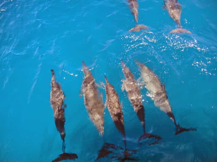 Fernando de Noronha: Catamaran Tour with meal and transfer - A Detailed Look at the Itinerary and What to Expect