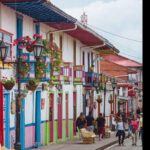 Filandia, Salento and Cocora Valley Tour - The Sum Up