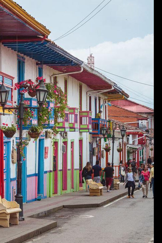 Filandia, Salento and Cocora Valley Tour - The Sum Up