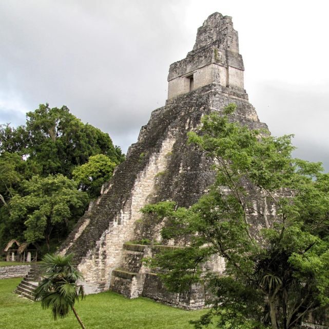 Flores: 1-Day Tikal Tour Private Service From your Hotel - What to Expect at Tikal