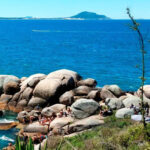 Florianópolis: Historical Center, Beach & Nature Tour - The Practical Side: Transport and Guide