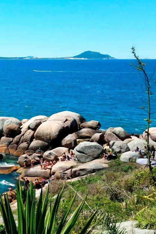 Florianópolis: Historical Center, Beach & Nature Tour - The Practical Side: Transport and Guide