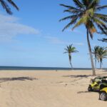 Fortaleza: Cumbuco Beach Day Trip - What to Expect from the Itinerary