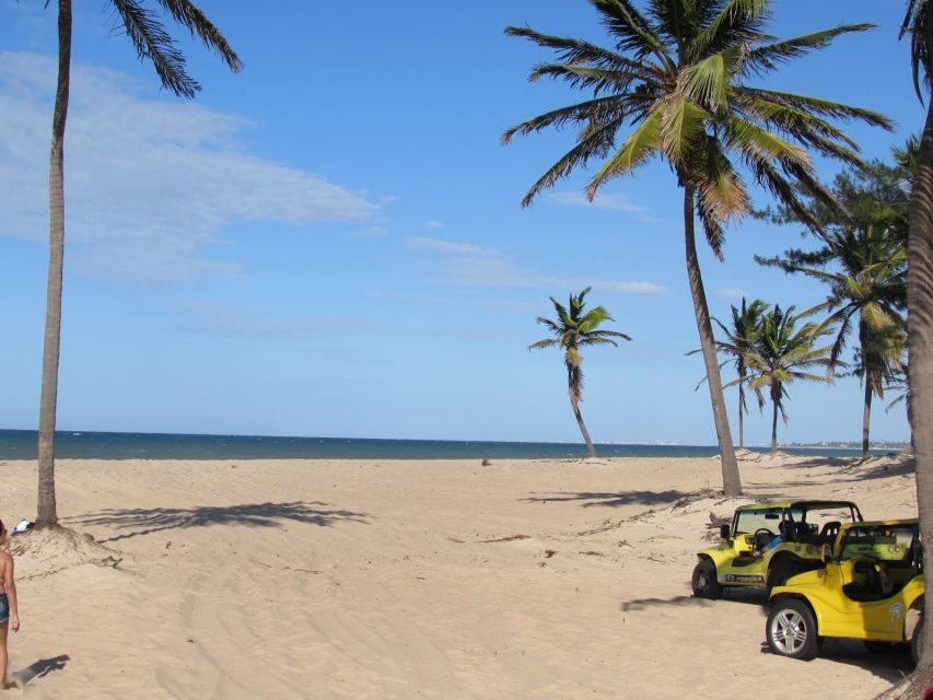 Fortaleza: Cumbuco Beach Day Trip - What to Expect from the Itinerary