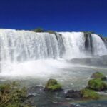 Foz do Iguaçu: Brazilian Side of the Falls + Bird Park - Who Is This Tour Best For?