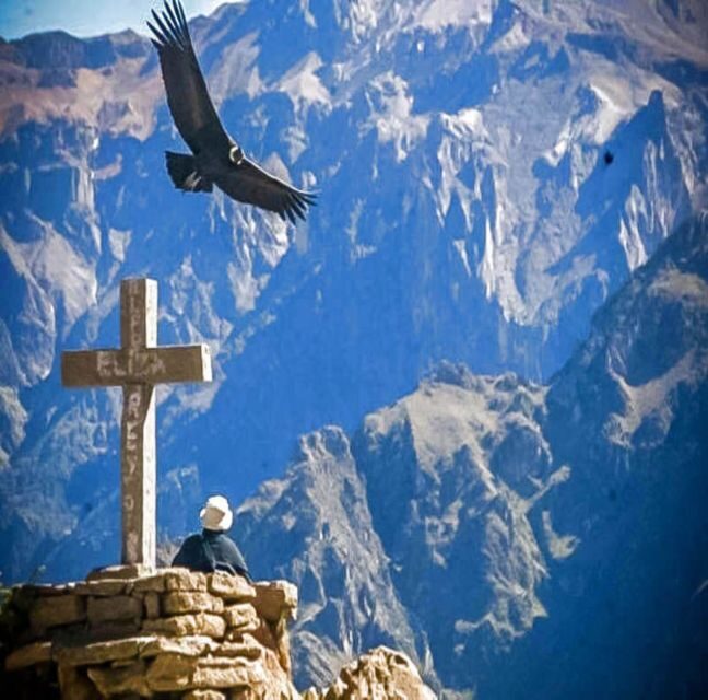 From Arequipa: 2-Day Colca Canyon Tour with Transfer to Puno - Final Thoughts: Is It Worth It?