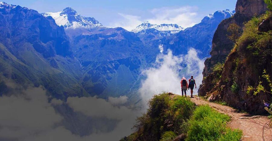 From Arequipa: Colca Canyon Day Trip with Transfer to Puno - The Practical Side: Transportation, Guides, and Costs