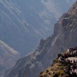 From Arequipa: Day trip to the Colca Canyon - What Makes This Tour Worthwhile