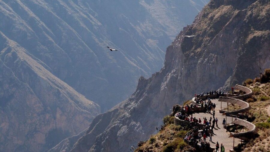 From Arequipa: Day trip to the Colca Canyon - What Makes This Tour Worthwhile