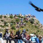 From Arequipa: Full Day Colca Canyon Tour - What Are the Key Points?