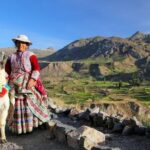From Arequipa: Full-Day to Colca Canyon - Who will love this tour?