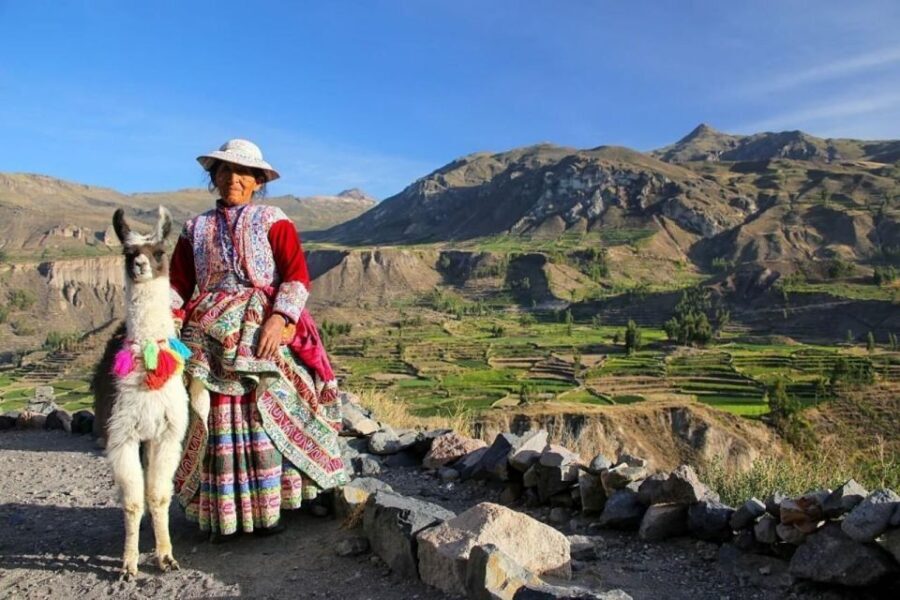 From Arequipa: Full-Day to Colca Canyon - Who will love this tour?