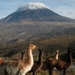 From Arequipa: Misti Volcano Trekking - 2 days - What’s included and what’s not?