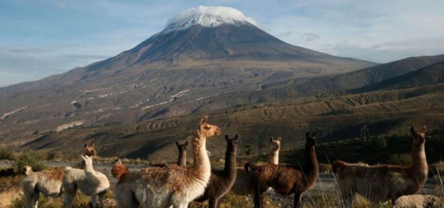From Arequipa: Misti Volcano Trekking - 2 days - What’s included and what’s not?