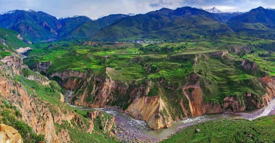 From Arequipa: Tour One Day Colca Canyon with Buffet Meals - Who Is This Tour Best For?