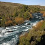 From Bariloche: San Martin de los Andes and 7 Lakes Circuit - The Itinerary: A Closer Look