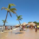 From Belém: 2-Day Marajoara Cheese Route Tour with Meals - The Cost and Value