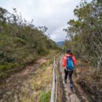 From Bogota: Explore the town of Guatavita, the lagoon and the "Casa Loca". - What’s Included and What to Keep in Mind