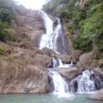 From Bogotá: Tour to the Waterfall of La Chorrera - Waterfalls and Forests: What to Expect