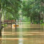 From Buenos Aires: Boat Trip to Tigre with Puerto de Frutos - A Deep Dive into the Experience