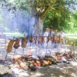From Buenos Aires: Gaucho and Ranch Day Tour - A Deep Dive Into the Experience