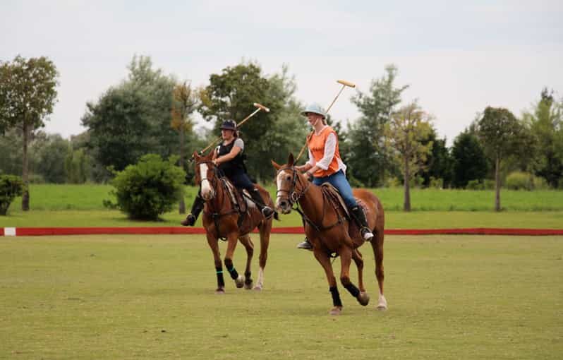 From Buenos Aires: Polo Match, Lesson, and BBQ Day-Trip - Is It Worth the Price?
