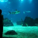 From Buenos Aires: Temaiken Zoo Tour with Ticket Included - The Experience from Different Perspectives