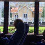 From Buenos Aires: Tigre & Delta with Sailing Premium Tour - Highlights of the Trip