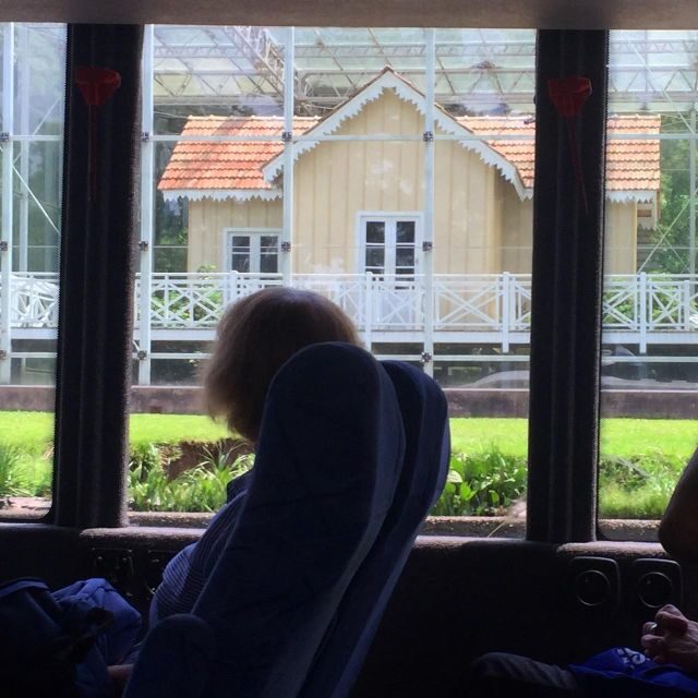 From Buenos Aires: Tigre & Delta with Sailing Premium Tour - Highlights of the Trip