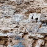 From Chachapoyas: Full-Day to the Sarcophagis of Karajia - The Itinerary in Detail