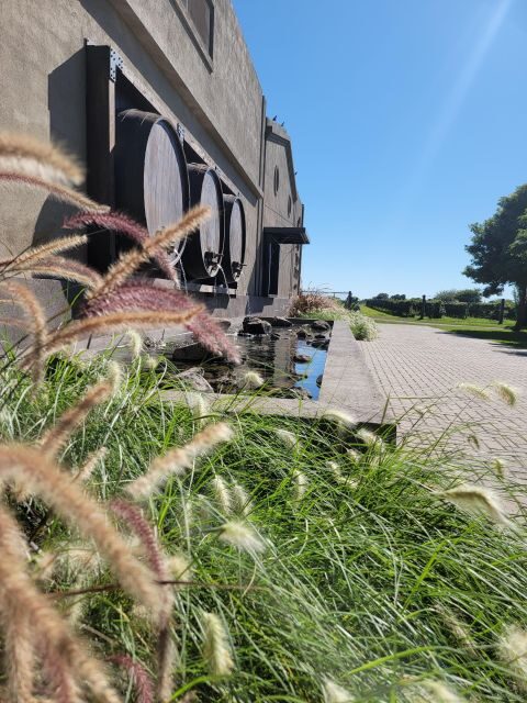 From Cordoba: Private Wine tour & History - Visiting the Vines and the Historic Winery