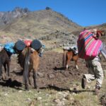 From Cusco: 2-Day Rainbow Mountain Hiking and Camping Trip - What’s Included and What You’ll Need to Consider