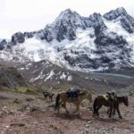 From Cusco: Ausangate Route - 7 Lagoons Tour + Meals - Transportation and Guide