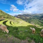 From Cusco: Chinchero, Moray, Maras, Ollantaytambo and Pisaq - What’s Included and What’s Not