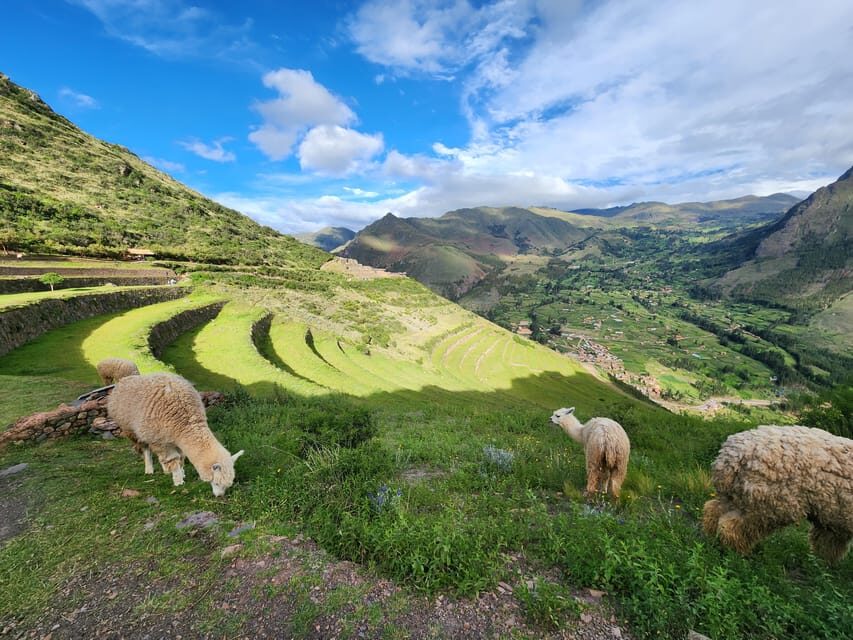 From Cusco: Chinchero, Moray, Maras, Ollantaytambo and Pisaq - What’s Included and What’s Not