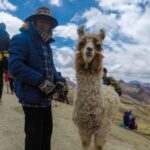 From Cusco: Colored Mountain and Red Valley Day Trip + Meals - In-Depth Breakdown of the Itinerary
