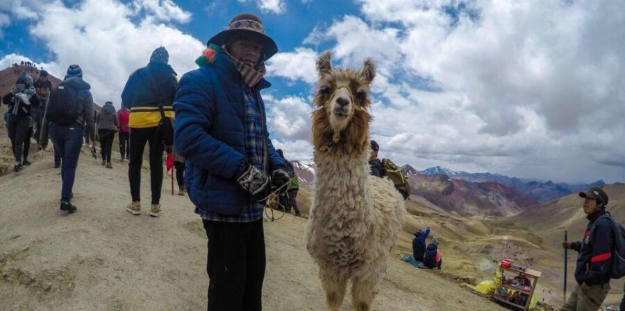 From Cusco: Colored Mountain and Red Valley Day Trip + Meals - In-Depth Breakdown of the Itinerary
